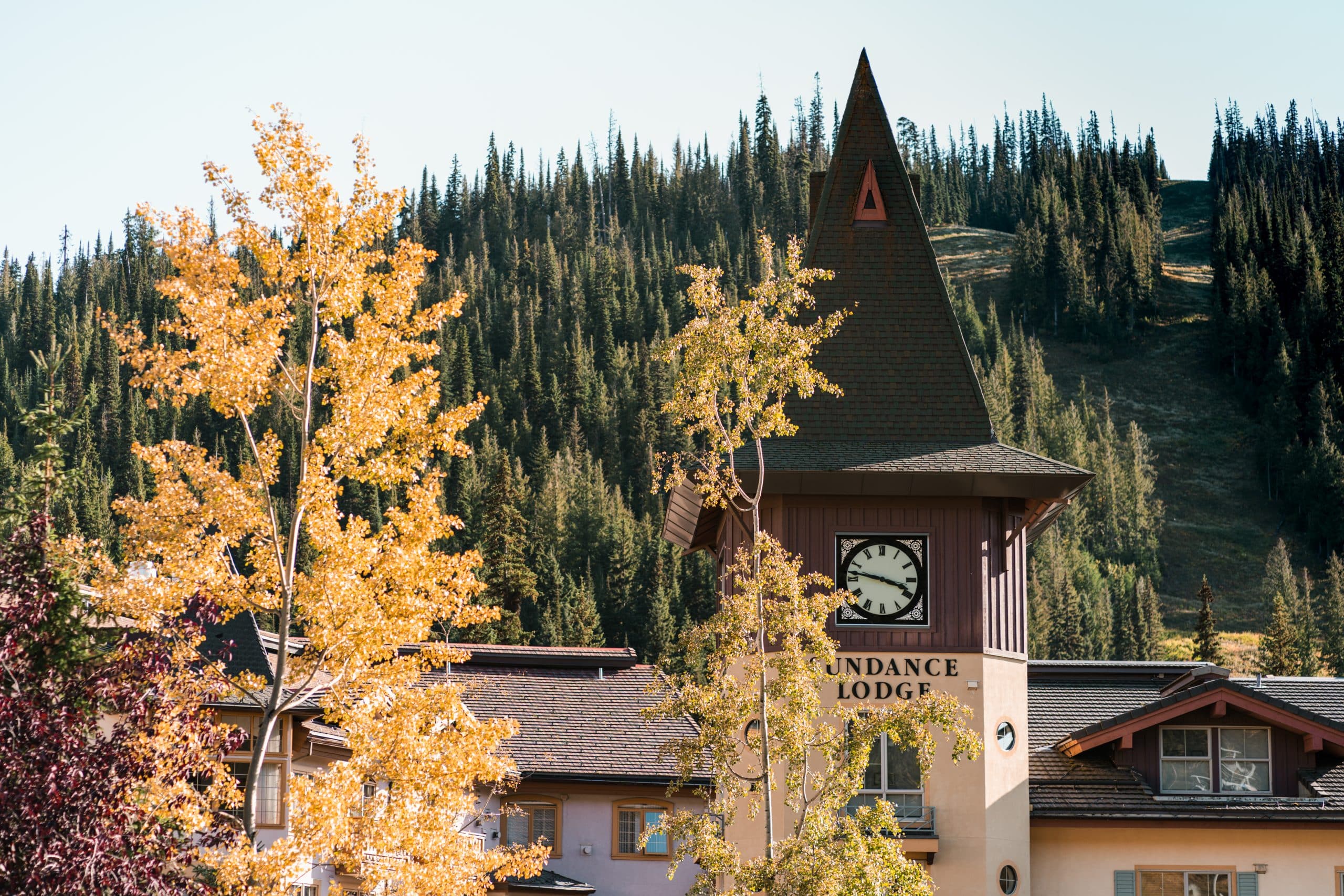 Candidates finalized for upcoming municipal election – Sun Peaks ...