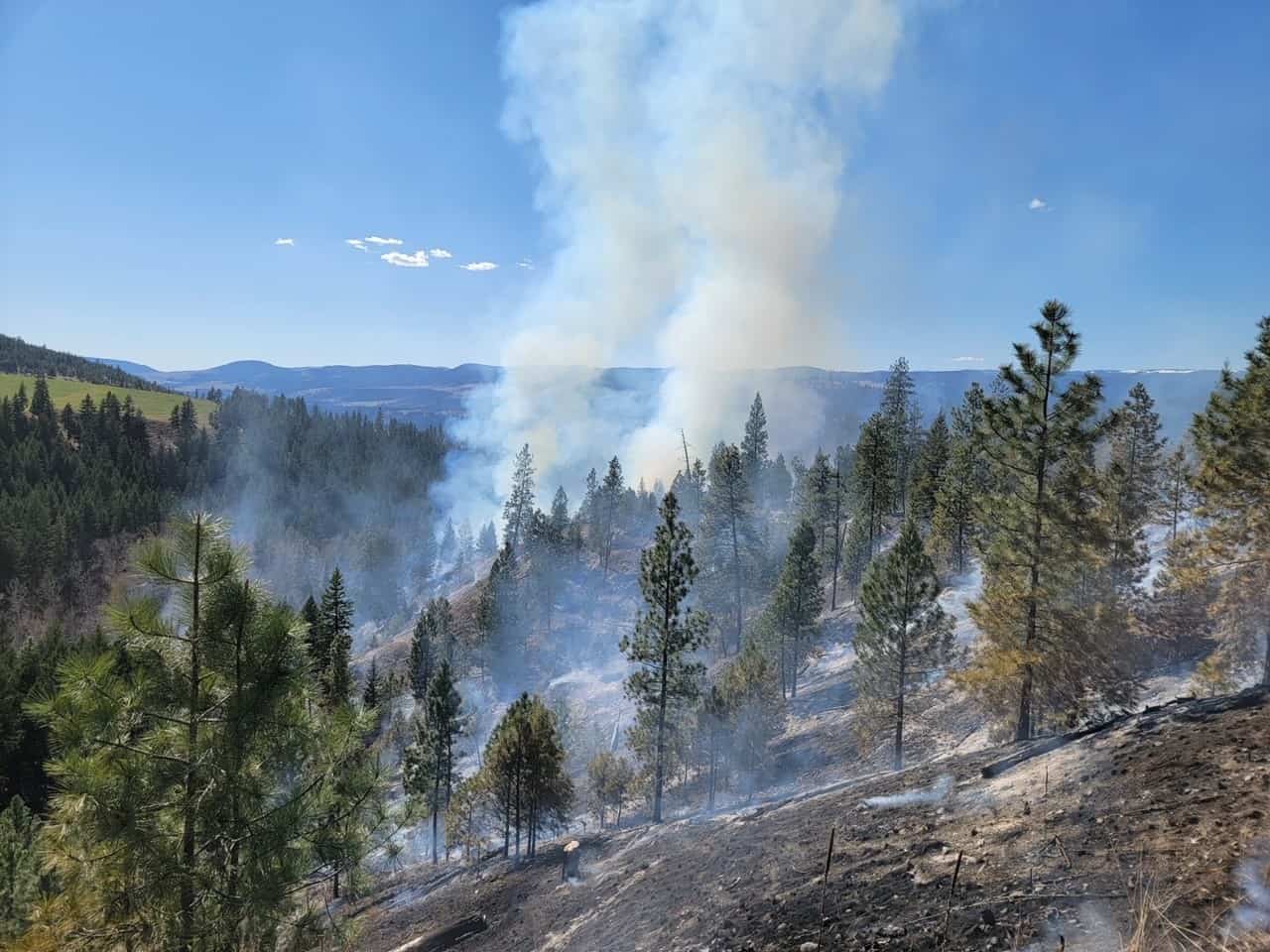 Weekend sees wildfire at Dick Hart Memorial Park: Low snow year set to ...