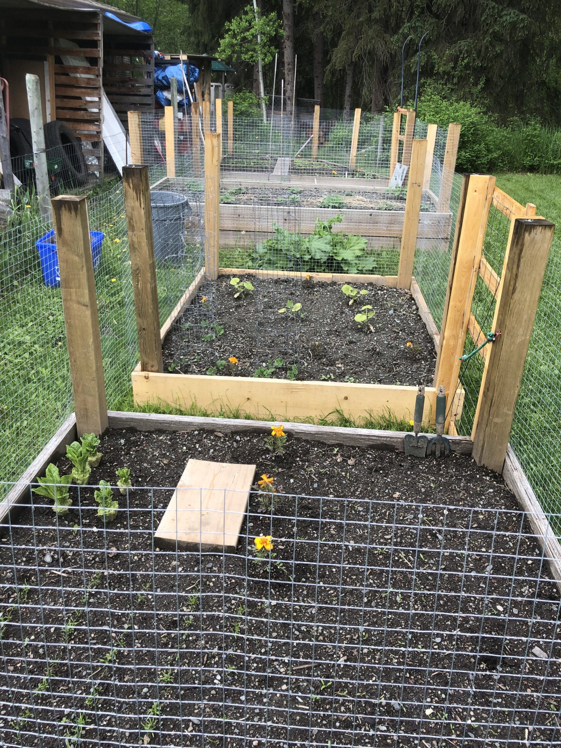 Vertical Café makes strides in environmentally friendly operations ...