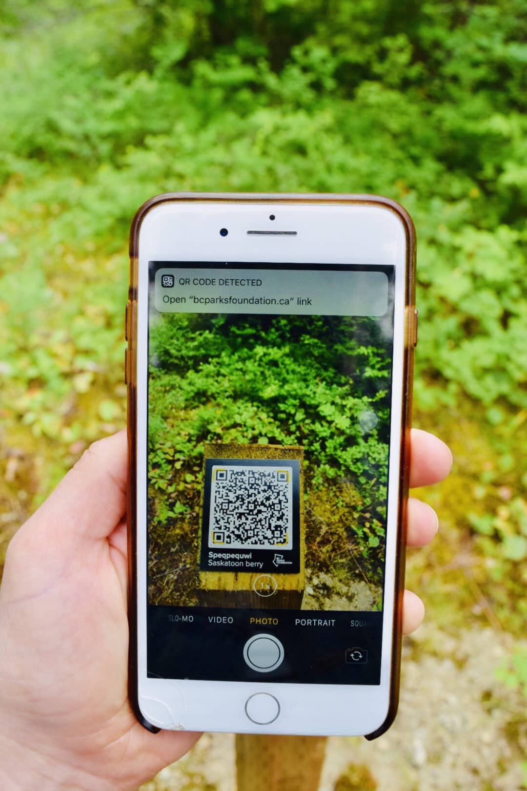 Interactive trail highlights Indigenous culture – Sun Peaks Independent ...