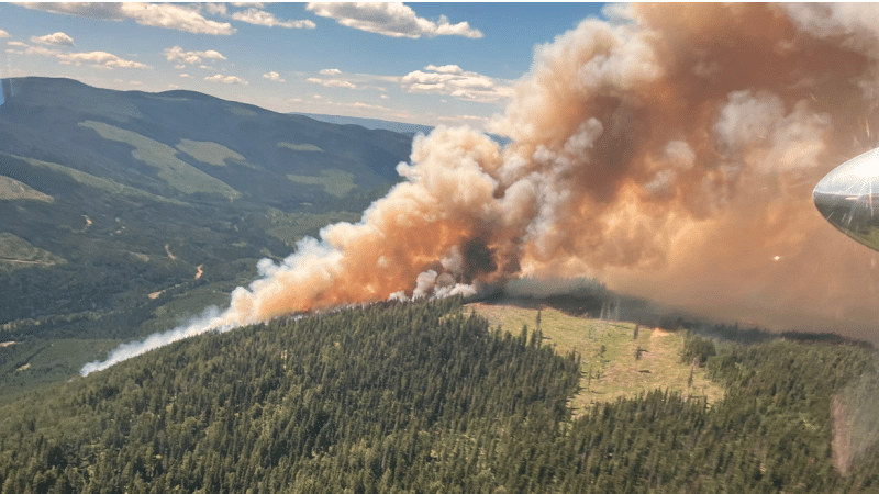 Four area wildfires currently pose no risk to Sun Peaks – Sun Peaks ...